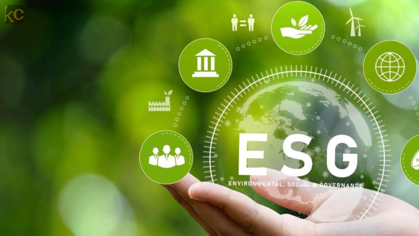 How to Assess ESG Performance in Companies